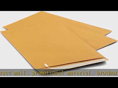 9 X 12 Self-Seal Brown Kraft Catalog Mailing Envelopes - 28lb - 100 Count, 9x12 Inch (38300)