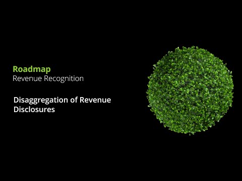 Revenue Recognition: Disaggregation of Revenue Disclosures