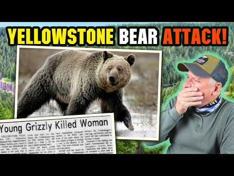 How I SURVIVED a Grizzly Bear Encounter and Another Hiker did NOT!
