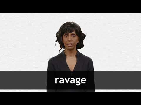 RAVAGE definition in American English | Collins English Dictionary