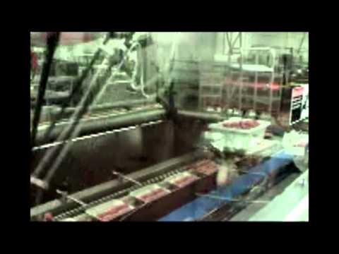 Fresh Sausage Packaging Into Trays | JLS Automation