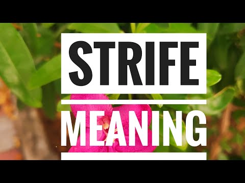 Strife Meaning and Usage | Malayalam meaning | Pronunciation | Area 63
