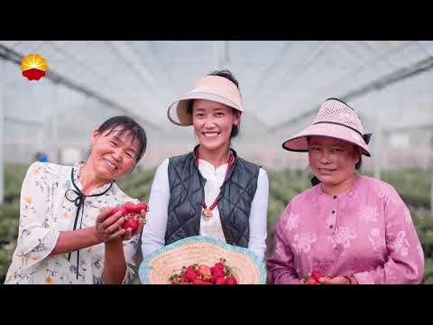 Scents of fruit on the plateau