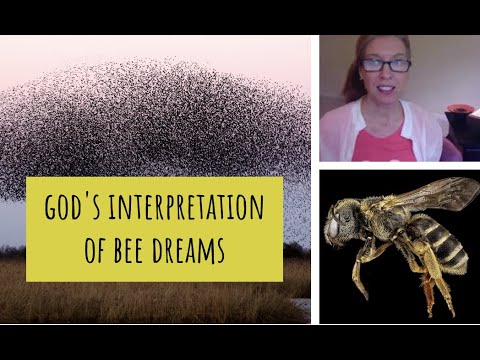 Dreaming of Bees, Beehive, Swarms, Sting - Your Biblical Interpretation