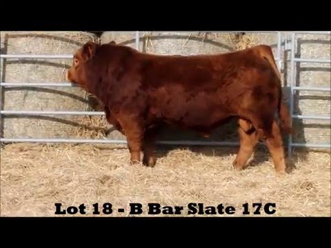 Lot 18 B Bar Slate 17C