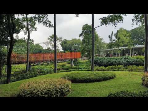 [4K - HDR] Walking in the Morning to Tebet Eco Park [Part 2]