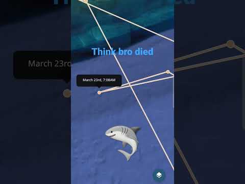Where did bro go #trending #fahlo #animals #foryou #funny