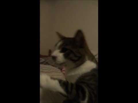 Steam Community :: Video :: Chode.