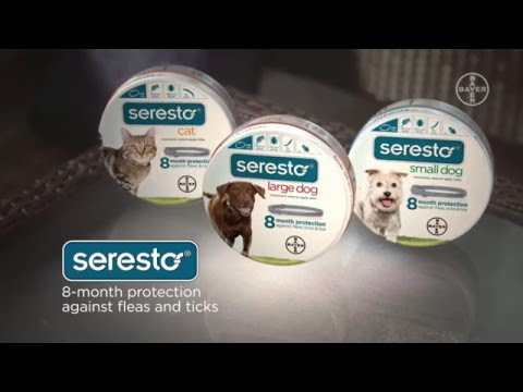 Seresto™ - flea efficacy