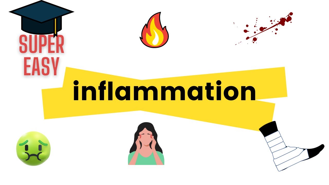 Inflammation Pathology | Inflammatory Response | Acute Inflammation | Chronic Inflammation |