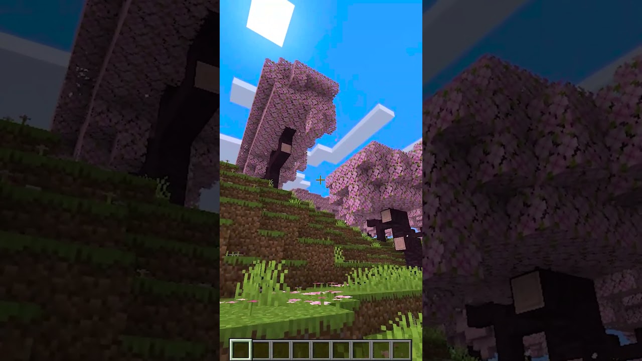 Minecraft Cherry Blossom Spawn SEED!