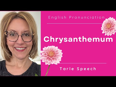 Learn to Pronounce 🌺 Chrysanthemum 🌸 American English US Pronunciation Lesson #learnenglish