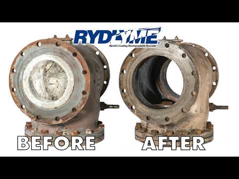 Struvite Removal from Check Valve with RYDLYME Biodegradable Descaler