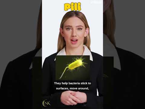 Pili (Bacteria🦠) #shorts😯😯😯