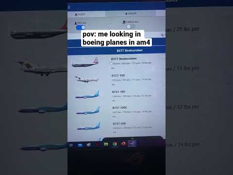 Airline manager 4