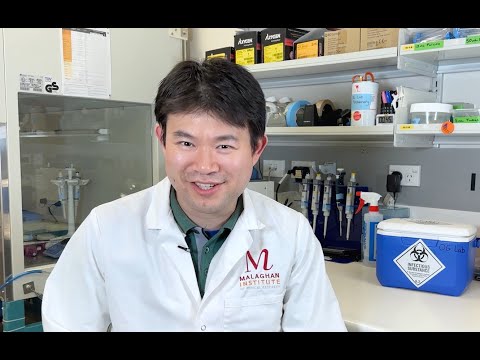 In Focus: What is nutritional immunology research?