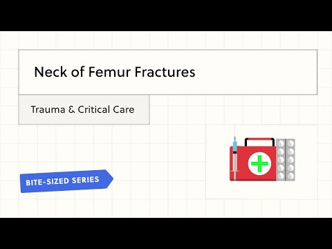 Neck of Femur Fractures