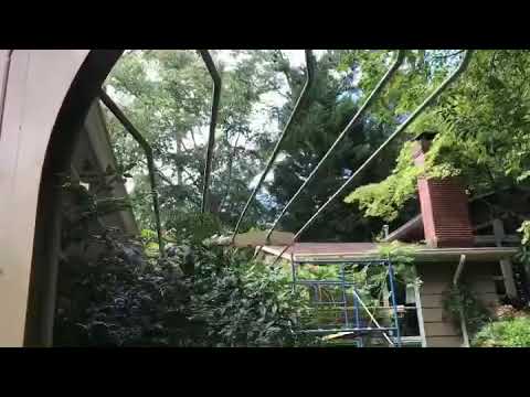 Trumpet Vine Trellis