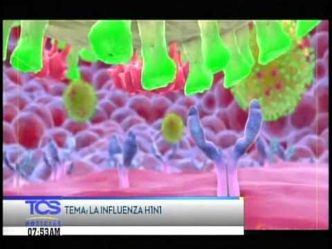 ¿Qué es la influenza H1N1?