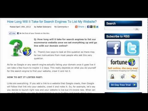 How Long Will It Take for Search Engines To List My Website?
