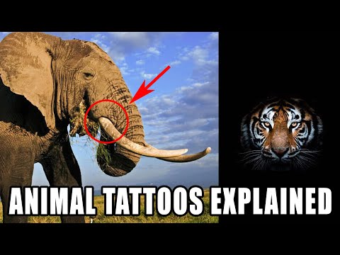 🐯ANIMAL TATTOO IDEAS for MENTAL HEALTH 👉 meanings explained
