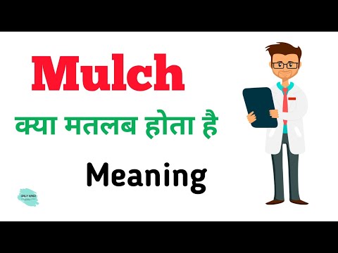 Mulch meaning in hindi | Mulch Ka Kya Matlab hota hai | Daily use English words