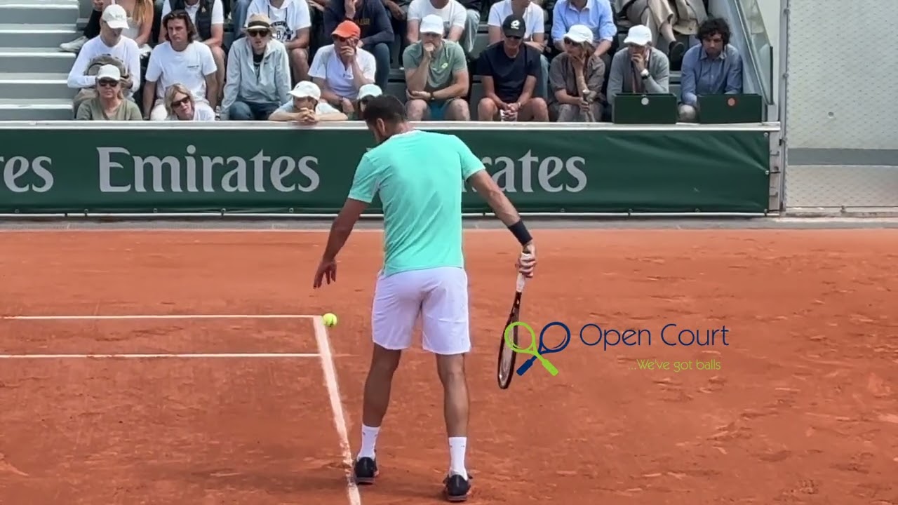 Exclusive: Konstantin Anisimov, father of Amanda Anisimova, found dead ...