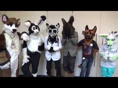 What is a furry?
