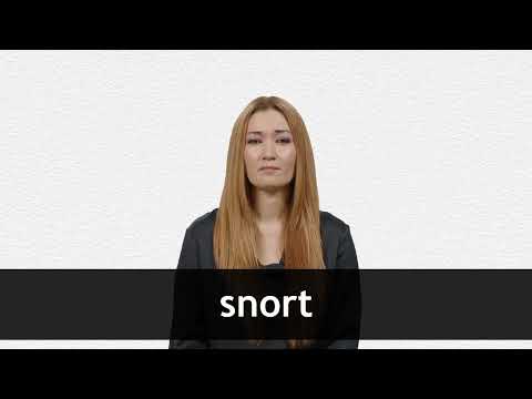 SNORT definition in American English | Collins English Dictionary