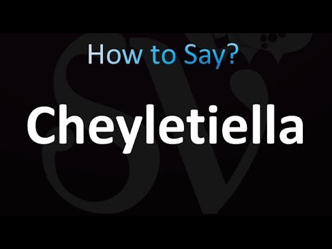 How to Pronounce Cheyletiella (CORRECTLY!)