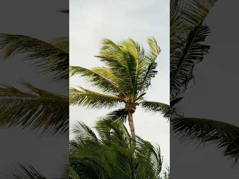 Nomade Tulum - Riviera Maya | Journey Mexico