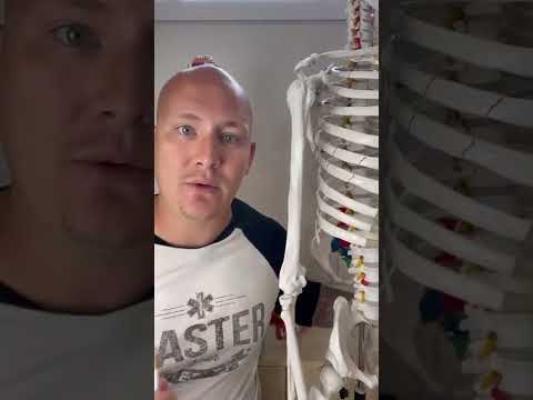 What Is A Flail Chest?