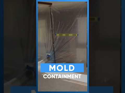 What is the mold remediation process?