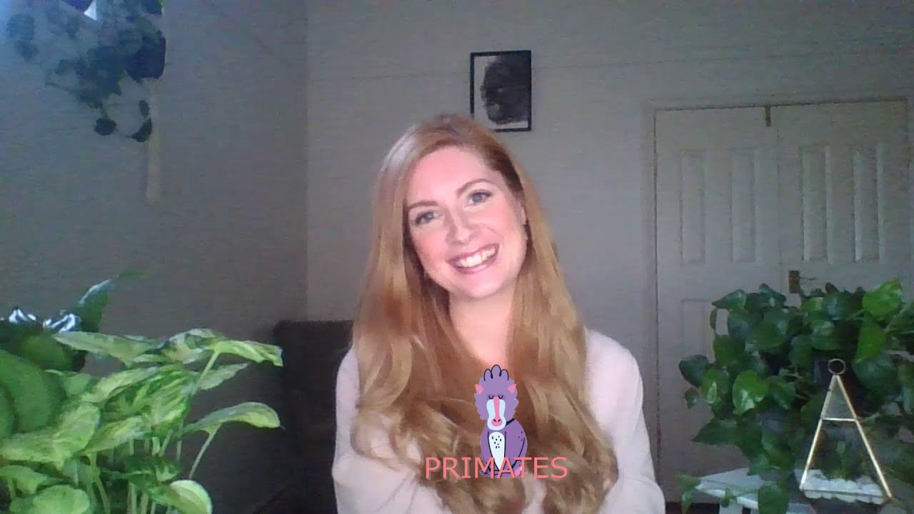 What makes a primate, a primate?