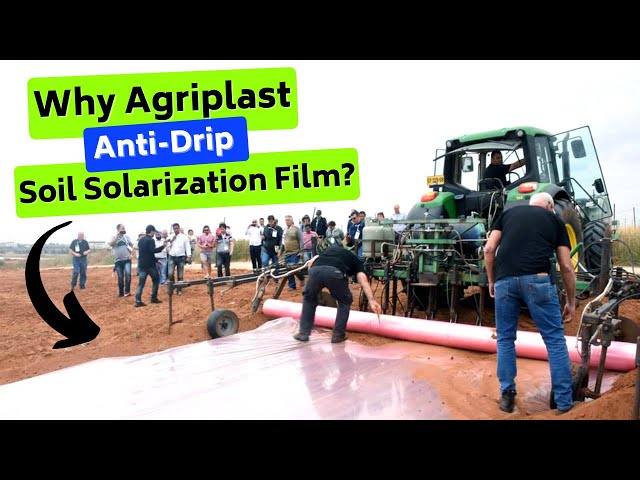 GINEGAR SOIL SOLARIZATION FILM - Ginegar Soil Solarization Film ...