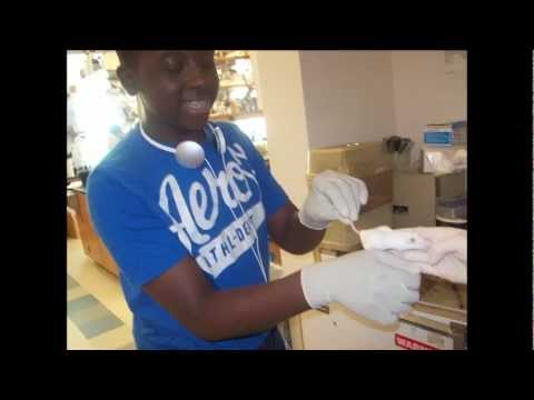 Labs For Learning - Real Life Lab Experience