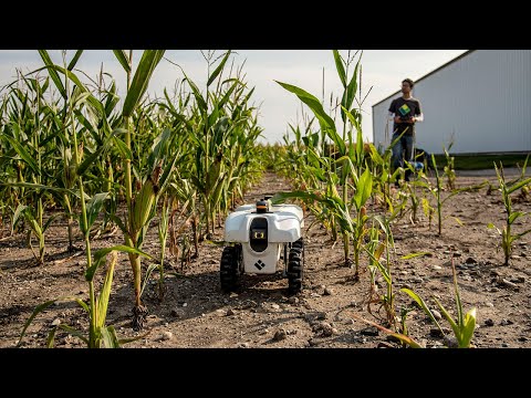 Study Agricultural and Biological Engineering