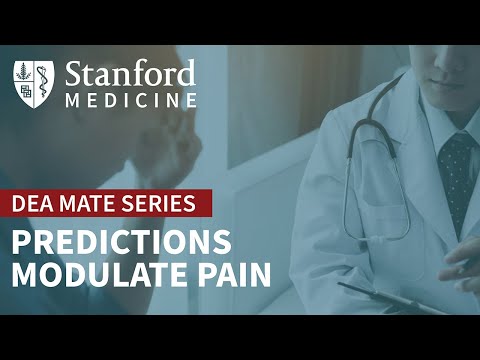 How Predictions and Expectations Modulate Pain | DEA MATE Act Training Course