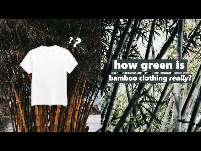 The Truth About Bamboo Clothing: Sustainability Claims Examined | Galaxy.ai