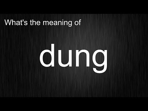 What's the meaning of "dung", How to pronounce dung?