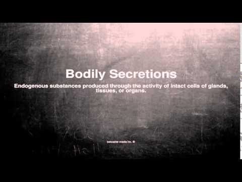 Medical vocabulary: What does Bodily Secretions mean