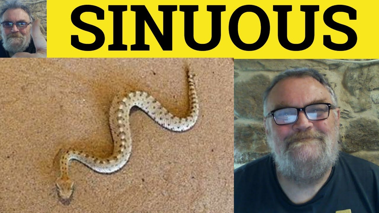 🔵 Sinuous Meaning - Sinuous Examples - Sinuous Definition - Semi Formal Literary English - Sinuous