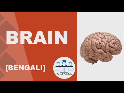 Brain [Bengali] - Psych E-Pathshala