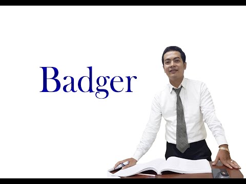 Badger written and spoken in English/How to use the word badger in sentences