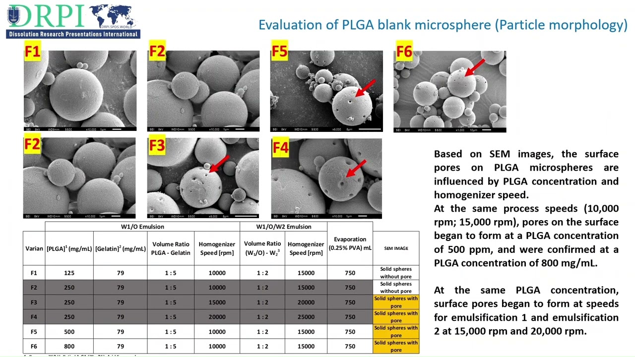 Dissolution Research Presentation International (DRPI) Final 2025