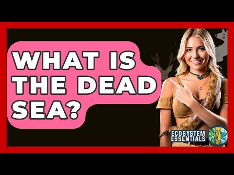 What Is The Dead Sea? - Ecosystem Essentials