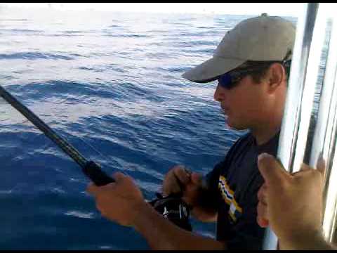 grouper.3GP