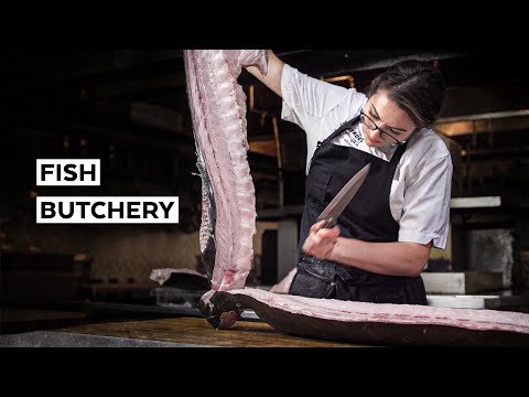 1,000 POUNDS of FISH BREAKDOWN - The FISH BUTCHER