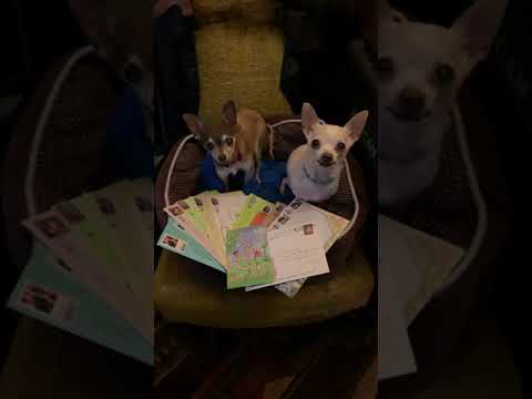 Birthday Cards For Grandma From Around The World [Dog Delivery]