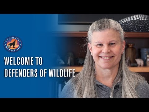 Welcome to Defenders of Wildlife